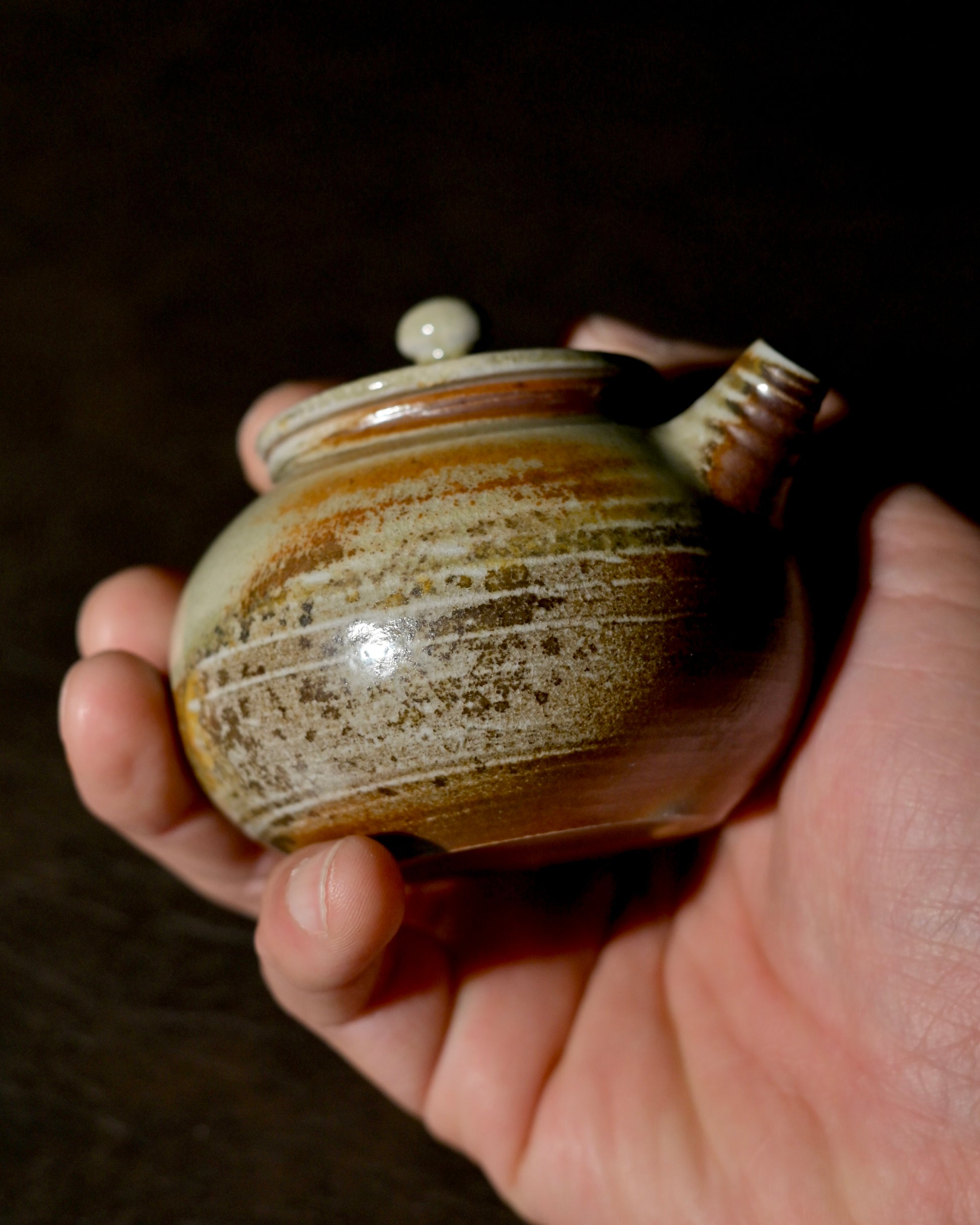 Unique Piece Wood-Fired Ash Glaze Small Side-Handle Teapot – saanwustudio